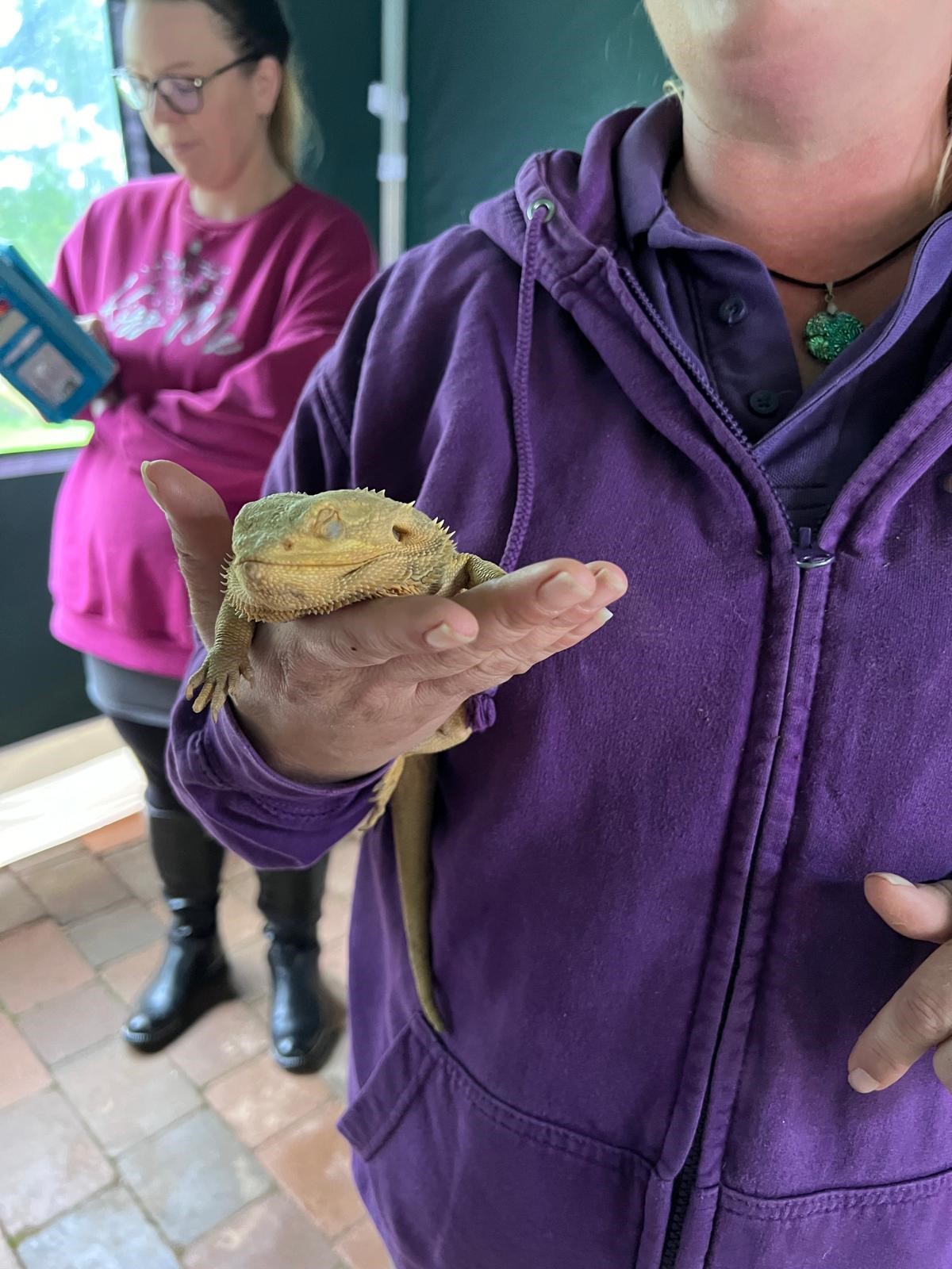 Angie's Animal Show - Hagley Park